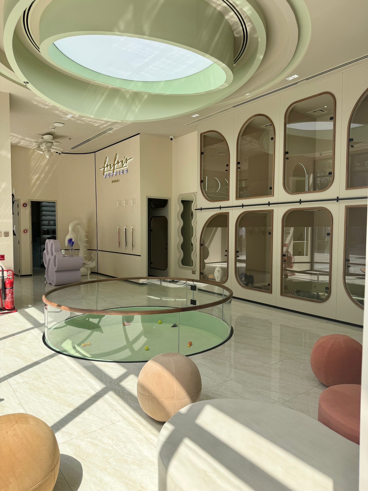 Where Celebrity Pets Shop: The Ultimate Guide to Luxury Pet Retail in ...